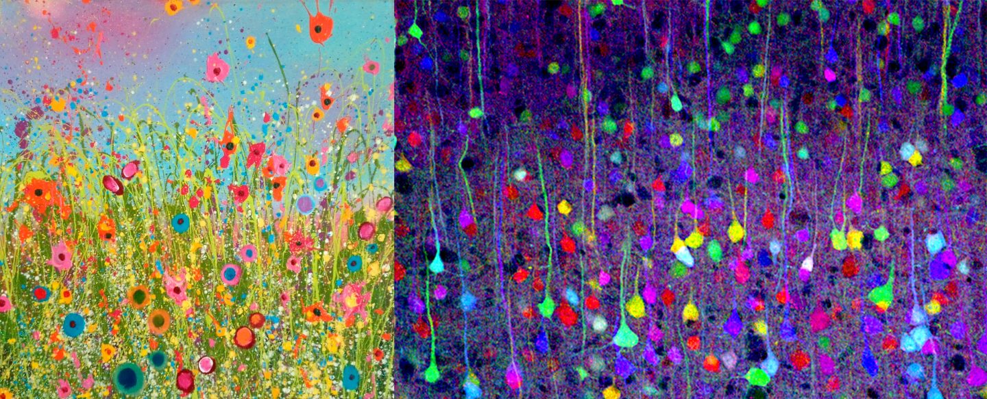 Manipulando el genoma para crear arte fluorescente – Probeta Mag
