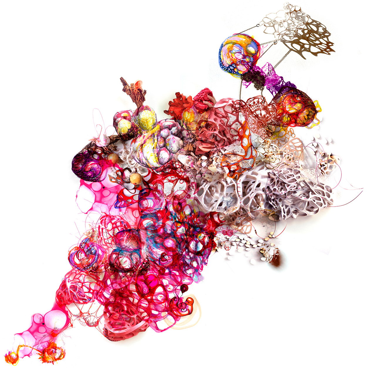 María Mallo: “Descubrir la naturaleza fue una liberación” – Probeta Mag